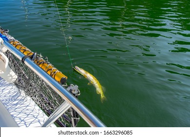 171 Catch The Handrail Images, Stock Photos & Vectors | Shutterstock