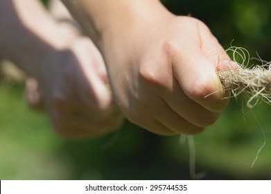 23 Pulling same direction Images, Stock Photos & Vectors | Shutterstock