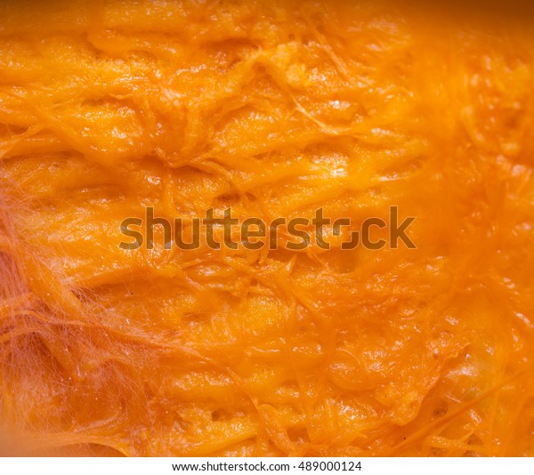 12,079 Inside Of A Pumpkin Images, Stock Photos & Vectors | Shutterstock