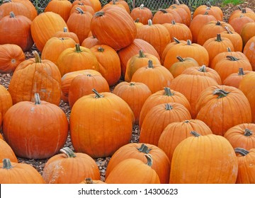 Pumpkins Stock Photo 14300623 | Shutterstock