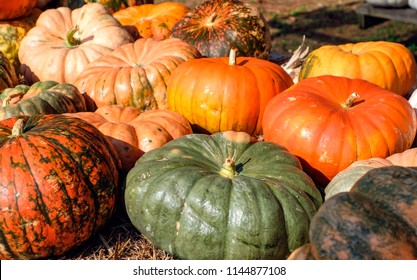 2,476 Different types of pumpkins Images, Stock Photos & Vectors ...