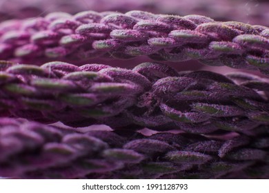 Purple Threads Close Under Microscope Background Stock Photo 1991128793 ...