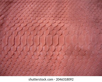 Python Skin Pink Natural Exotic Leather Stock Photo 2046318092 ...