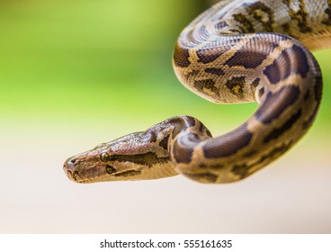 Stock Photo and Image Portfolio by MAbdullah | Shutterstock