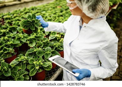 298 Scientific plant research centre Images, Stock Photos & Vectors ...