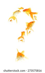 306 Fish question mark Images, Stock Photos & Vectors | Shutterstock