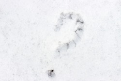 Question mark on snow weather sign featuring mark, snow, and question ...