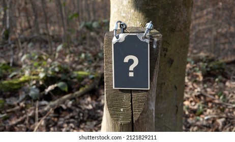Question Mark Forest Stock Photo 2121829211 | Shutterstock