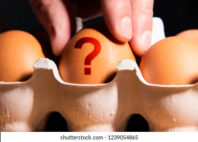 117 Question Mark On Chicken Egg Images, Stock Photos & Vectors ...