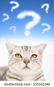 Cat with question mark : 633 images, photos et images vectorielles de ...