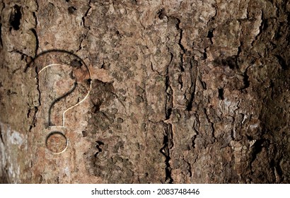 Question Mark Concept Motivational Image Inspirational Stock Photo ...