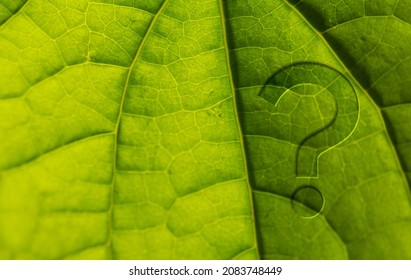 Question Mark Engraved On Wood Motivational Stock Photo (Edit Now ...