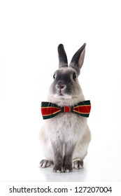 3,589 Rabbits Bow Ties Images, Stock Photos & Vectors | Shutterstock