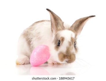 Cute Pair Rabbits On White Backgroundmixed Stock Illustration 1301474296