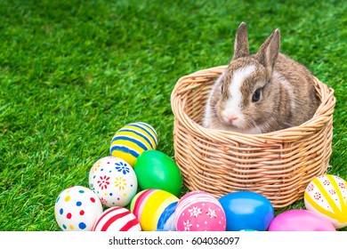 Rabbit Easter Eggs Green Grass Stock Photo 604036097 | Shutterstock