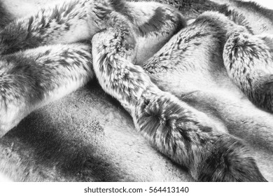 Rabbit Fur Texture Background Burrowing Gregarious Stock Photo ...