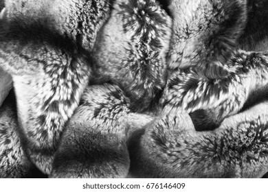 Rabbit Fur Texture Background Burrowing Gregarious Stock Photo ...