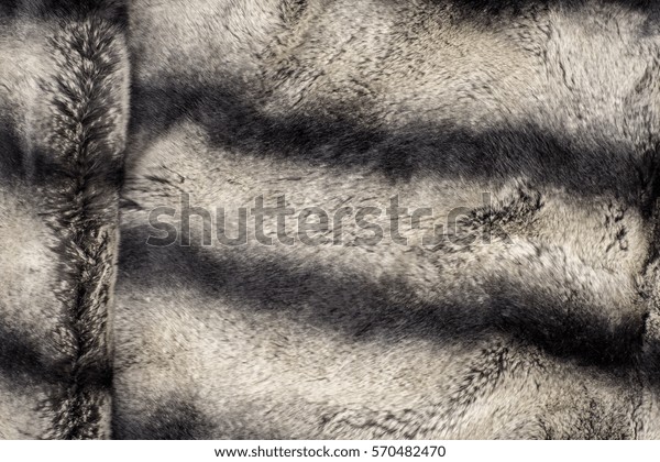 Rabbit Fur Texture Background Burrowing Gregarious Stock Photo ...