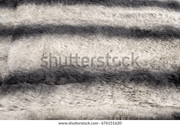 Rabbit Fur Texture Background Burrowing Gregarious Stock Photo ...