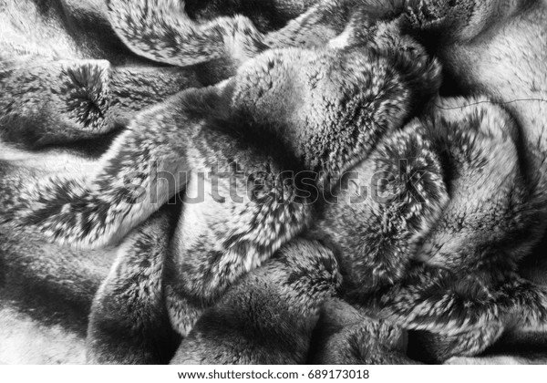 Rabbit Fur Texture Background Burrowing Gregarious Stock Photo ...