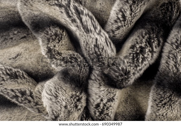 Rabbit Fur Texture Background Burrowing Gregarious Stock Photo ...