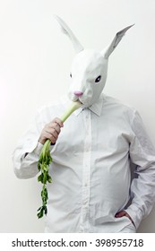 Rabbit Man Eats Celery Stock Photo 398955718 | Shutterstock