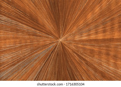 Dark Brown Straw Marquetry Starburst Radial Stock Photo (Edit Now ...