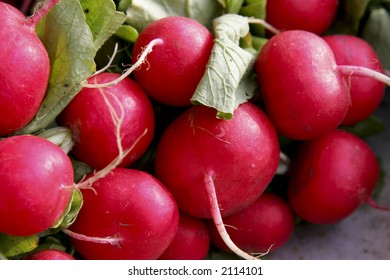 Radish Stock Photo 2114101 | Shutterstock