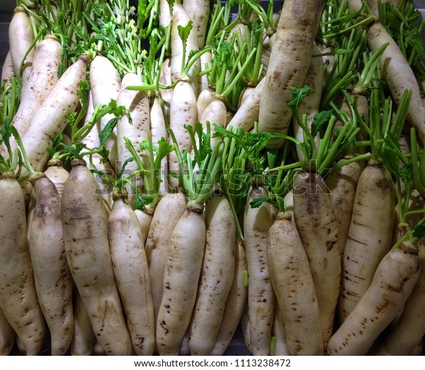Radish Texture Background Stock Photo 1113238472 | Shutterstock