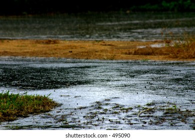 Rain Stock Photo 495090 | Shutterstock