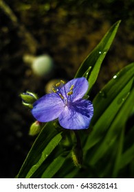 Stock Photo and Image Portfolio by Bradley Howington | Shutterstock
