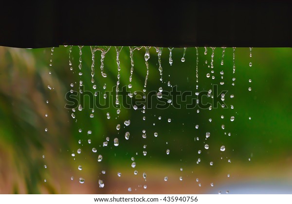 Rain drops fall continuously with blur green nature background.