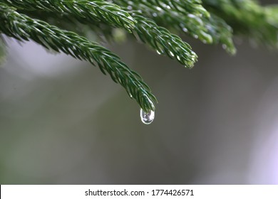 Stock Photo and Image Portfolio by PrabhuKV | Shutterstock
