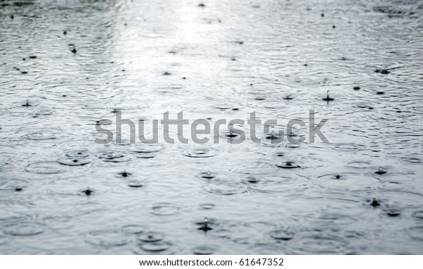 Rain Drops Rippling Puddle Closeup Stock Photo (Edit Now) 61647352