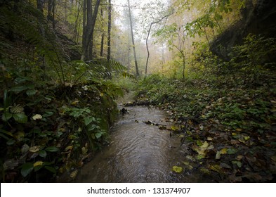69,981 Raining woods Images, Stock Photos & Vectors | Shutterstock