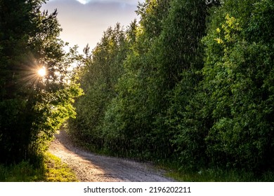 13,387 Sun through rain Images, Stock Photos & Vectors | Shutterstock