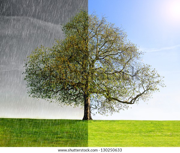 Rain Vs Sun Concept Stock Photo (Edit Now) 130250633