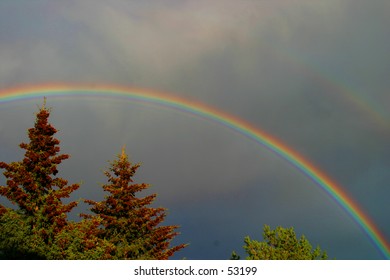 Stock Photo and Image Portfolio by Joyce Sherwin | Shutterstock