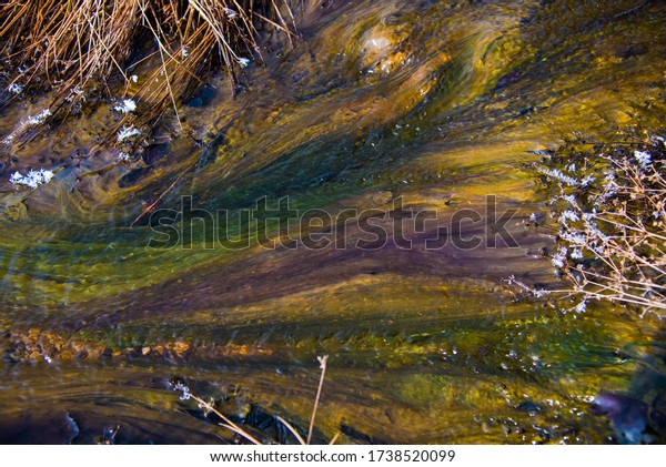 Rainbow Algae Stretches Down Brook Stock Photo 1738520099 | Shutterstock