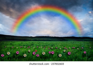 Rainbow Background Stock Photo 237832603 | Shutterstock
