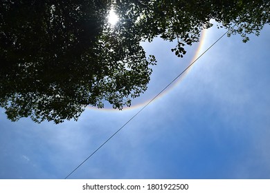 Rainbow Behind Tree Stock Photo 1801922500 | Shutterstock