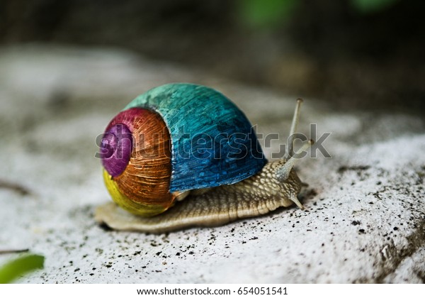 Rainbow Snail Stock Photo 654051541 | Shutterstock