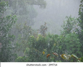 Raining Stock Photo 299714 | Shutterstock