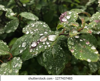 52 It's raining here Images, Stock Photos & Vectors | Shutterstock