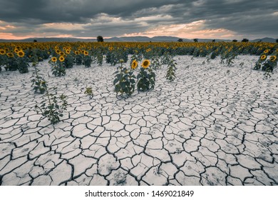 Rainless: imágenes, fotos de stock y vectores | Shutterstock