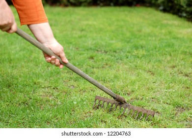 Human Hand Holding Leash Domestic Pets Stock Photo 1414014563 ...