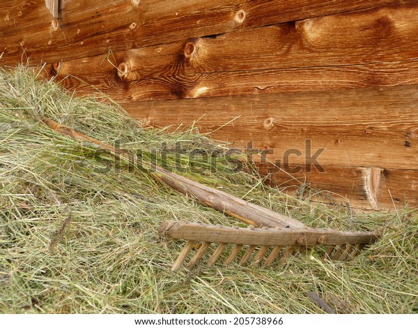 32,251 Wooden Rake Images, Stock Photos & Vectors | Shutterstock