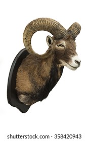 70 Stuffed Rams Head Images, Stock Photos & Vectors | Shutterstock