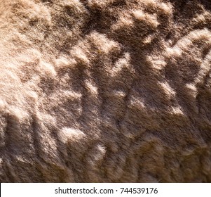 Ram Wool Background Stock Photo 744539176 | Shutterstock