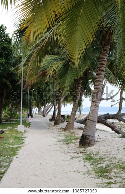 Random Beach Pathway Stock Photo 1085727050 | Shutterstock